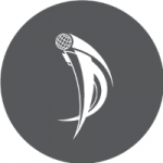 IPTP Networks tuyển dụng mới nhất [Updated 03/11/2025]