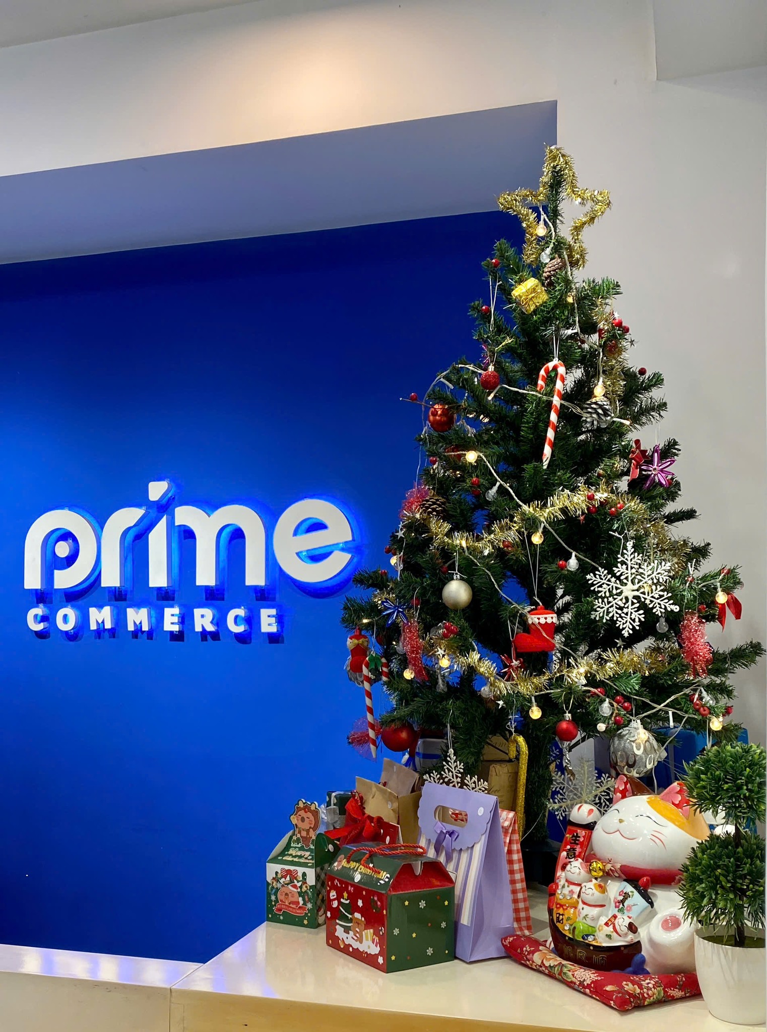 Prime Commerce tuyển dụng mới nhất [Updated 27/10/2025]