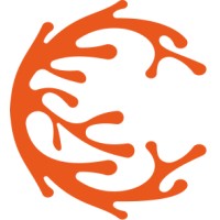 Coral Code tuyển dụng mới nhất [Updated 26/04/2026]